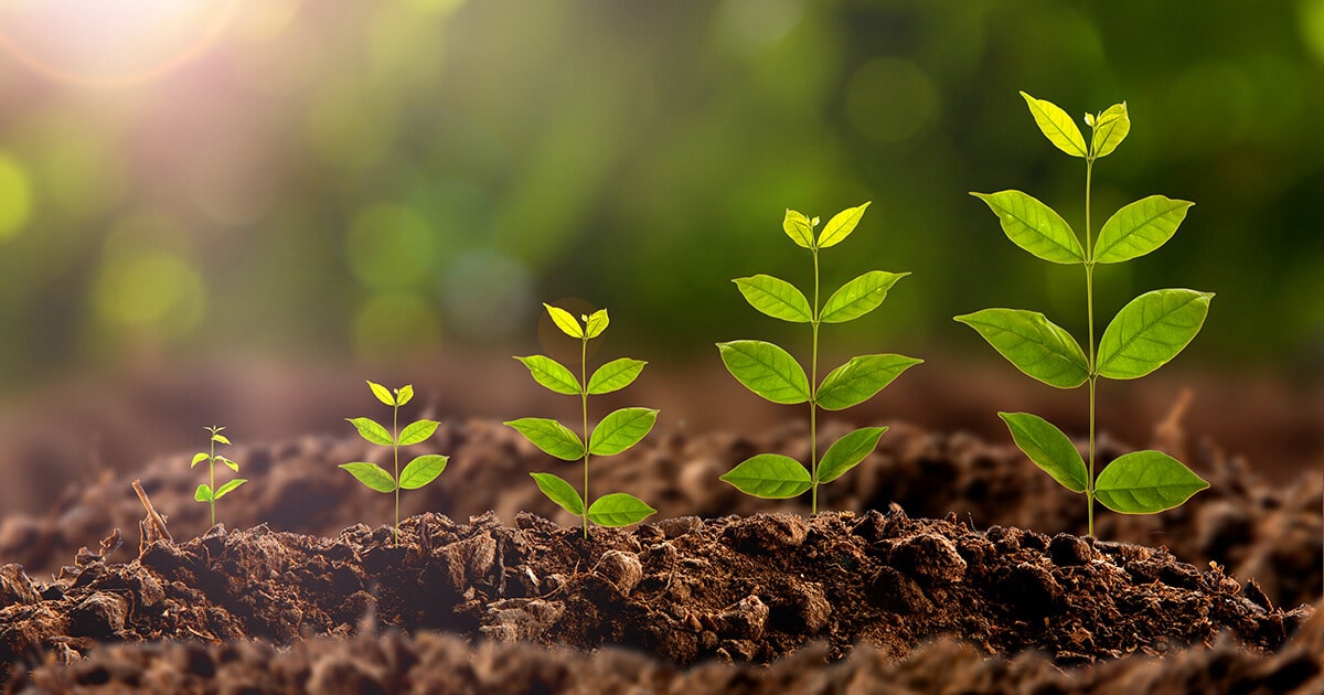 Keys to Content - Survive and Thrive - The Web For Business.com